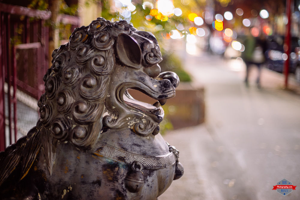 Chinatown Lion | Rob Moses Photography