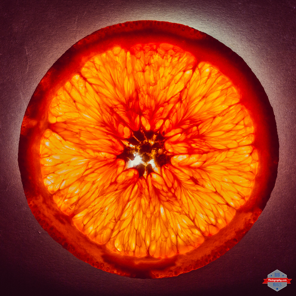 Orange | Rob Moses Photography