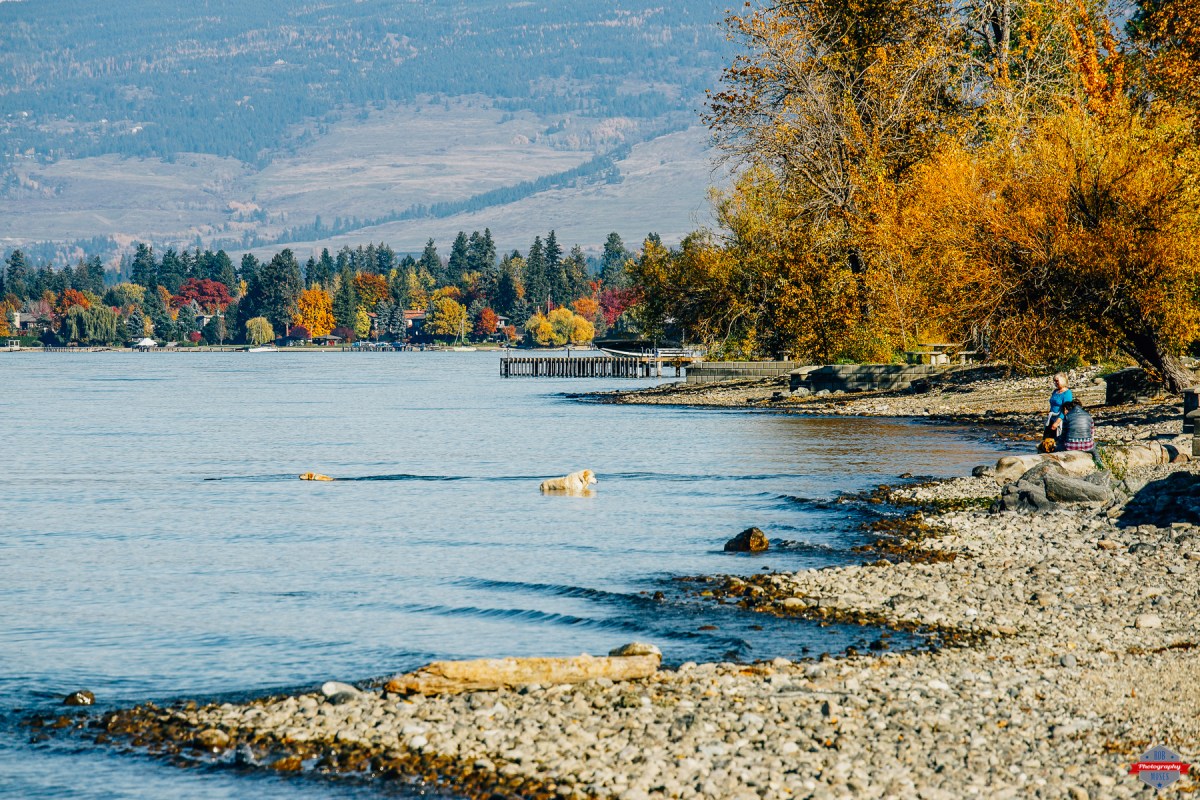 Big Rock Beach | Rob Moses Photography