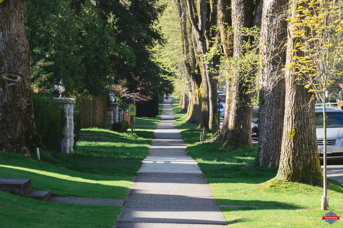 The Beautiful Sidewalks | Rob Moses Photography
