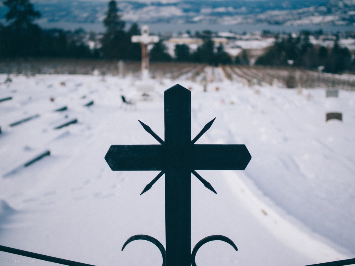 It lives on | Rob Moses Photography